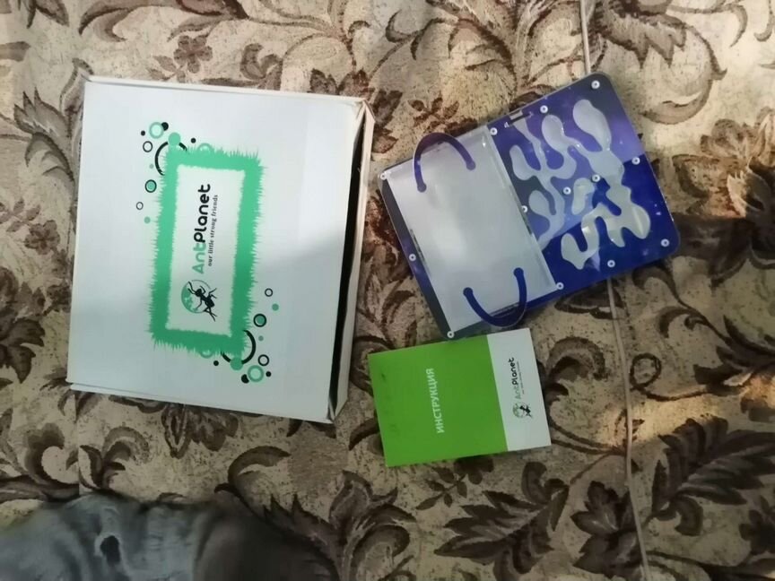 Муравьиная ферма