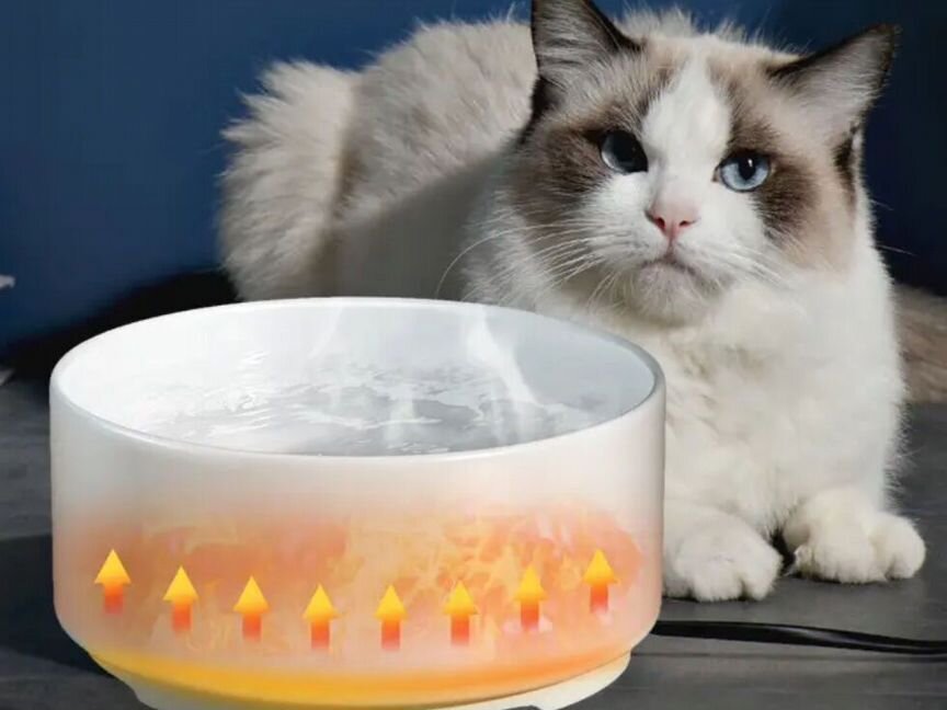 Миска для кота с подогревом