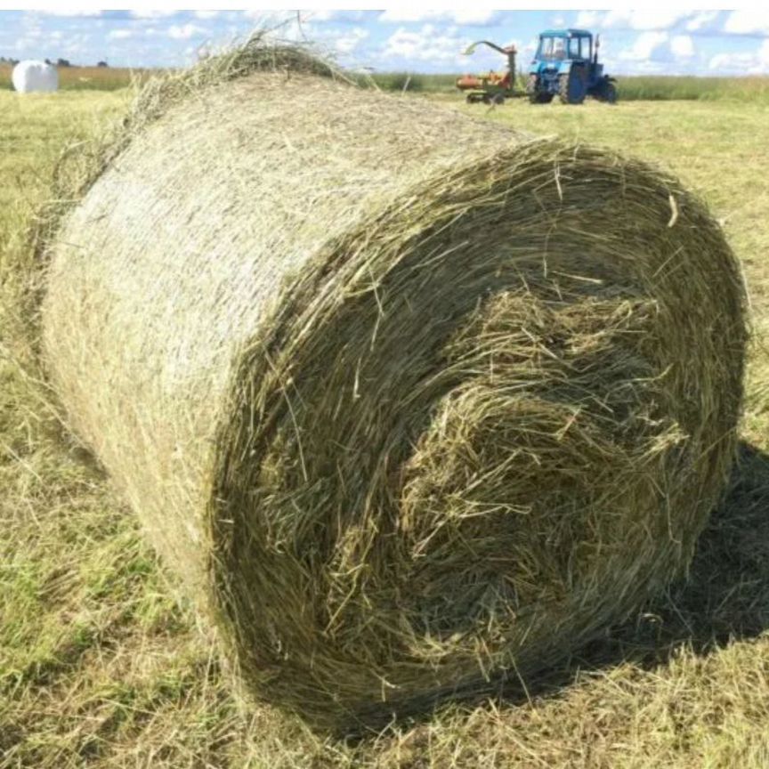 Продам сено в рулонах