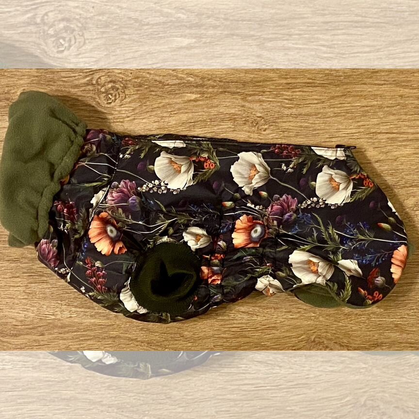 Одежда для басенджи