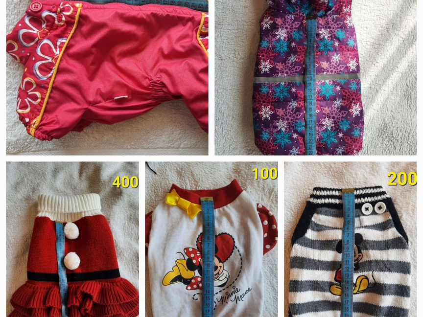 Одежда для маленьких пород собак