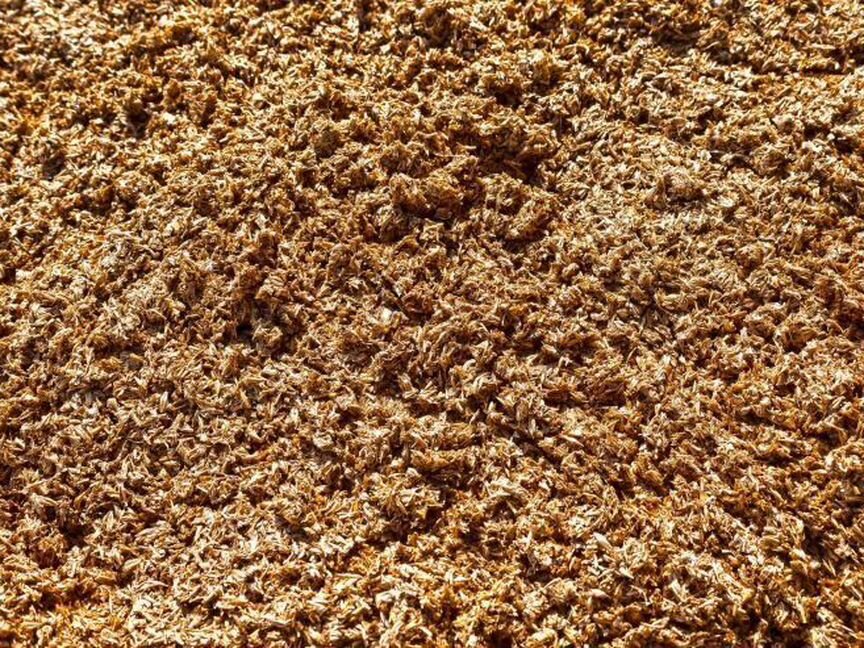 Пивная дробина/корм для свиней/к-р скота