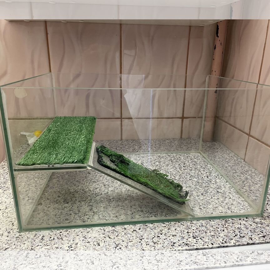 Аквариум для черепах 25 литров