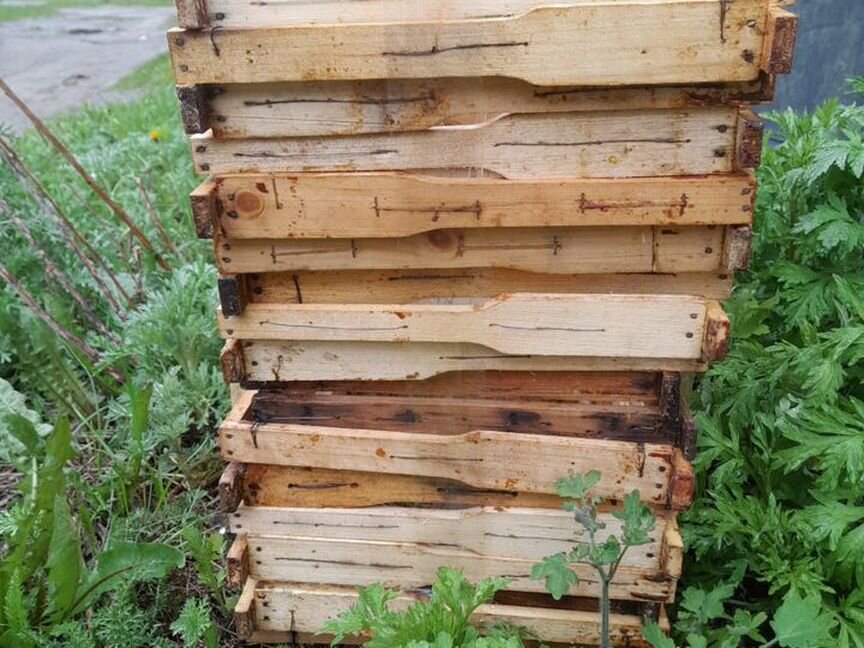 Рамки для ульев дадан