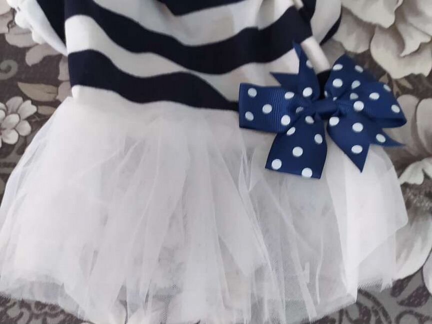 Одежда на маленькую собачку