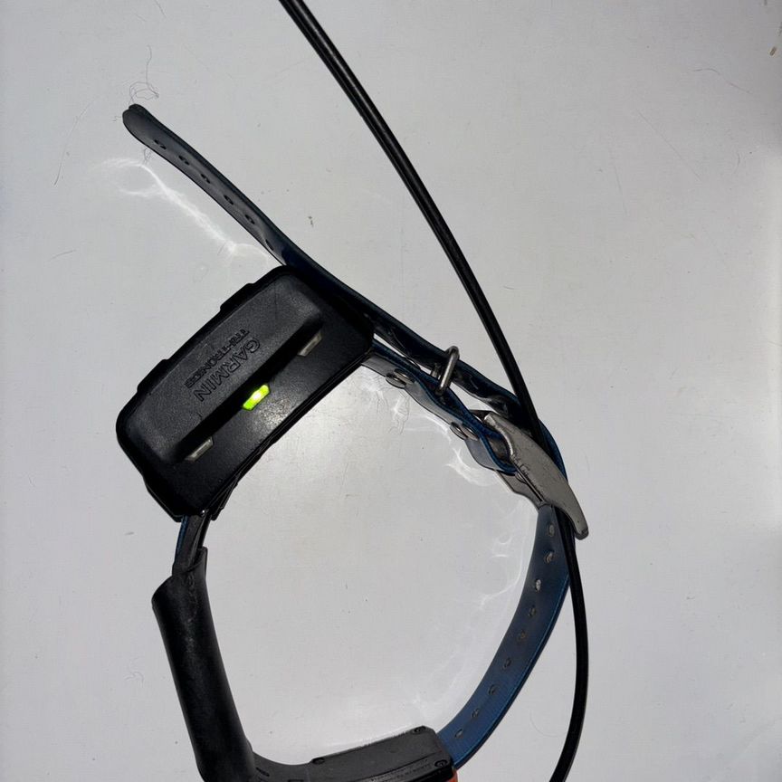 Ошейник garmin t5 версия америка