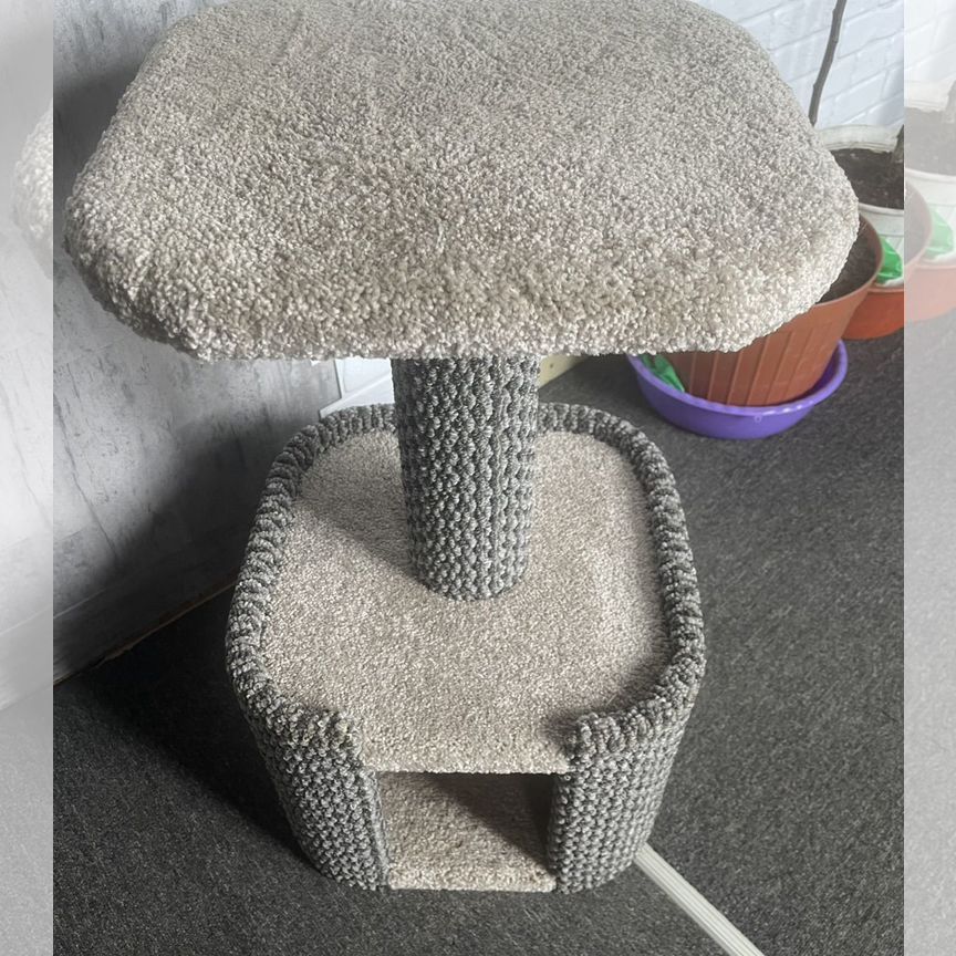 Домик доя кошки