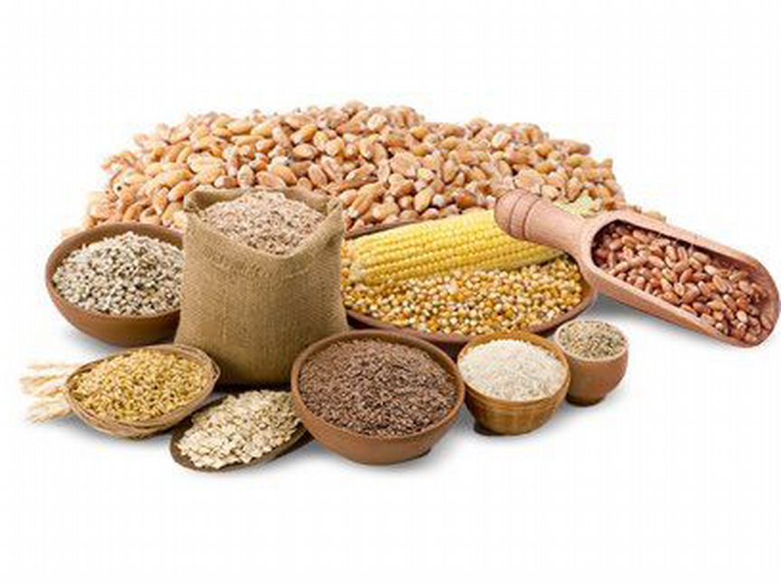 Корма для сельскохозяйственных животных