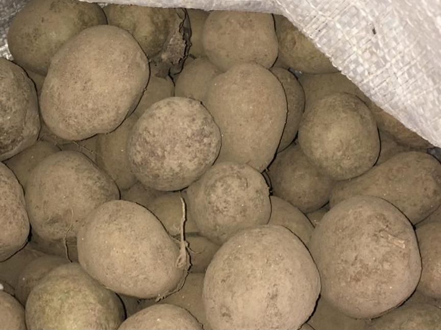 Продам мелкий картофель