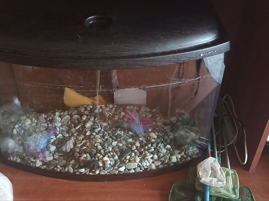 Аквариум и аксессуары к нему