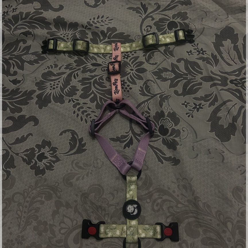 Шлейка для собак Lionpets