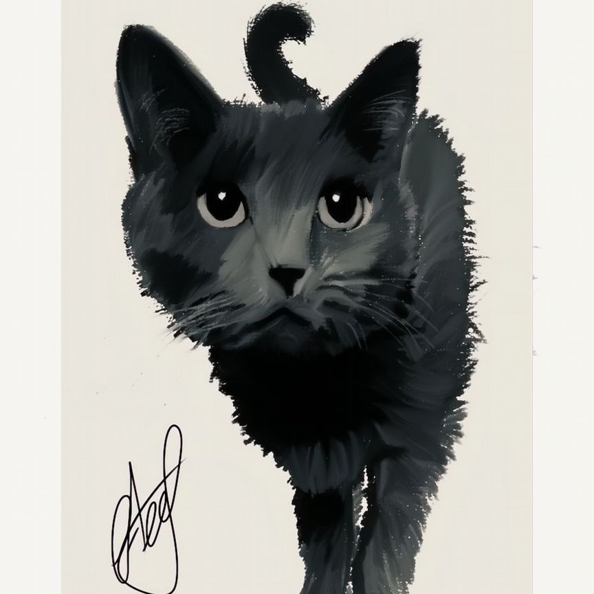 Британский короткошёрстный котёнок