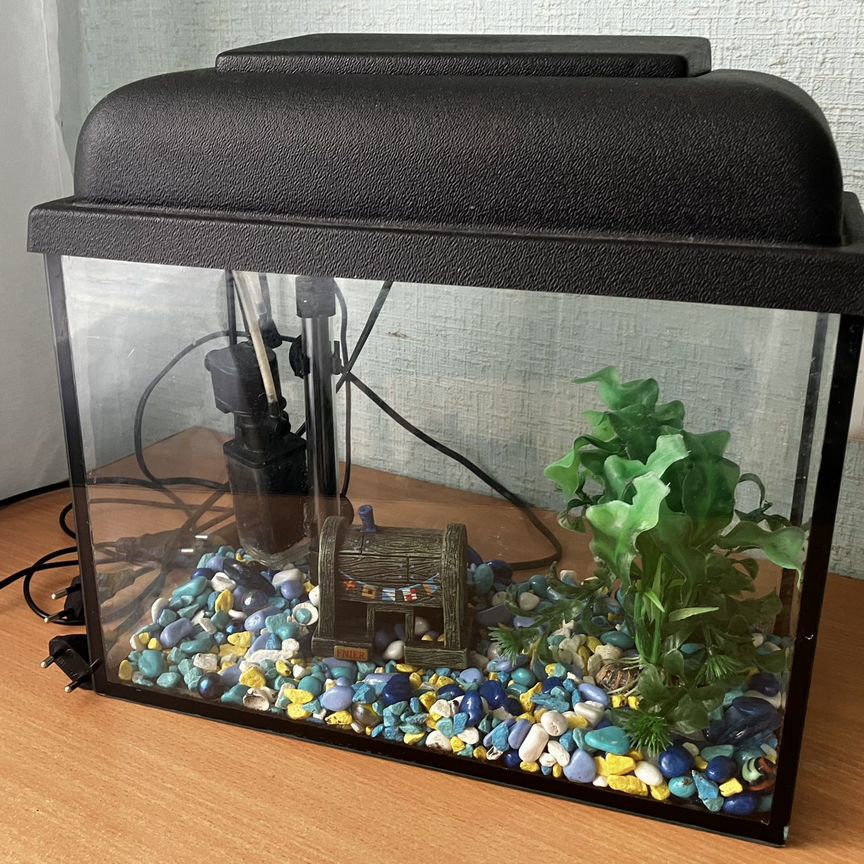 Аквариум 15 литров с крышкой с фильтром и декором