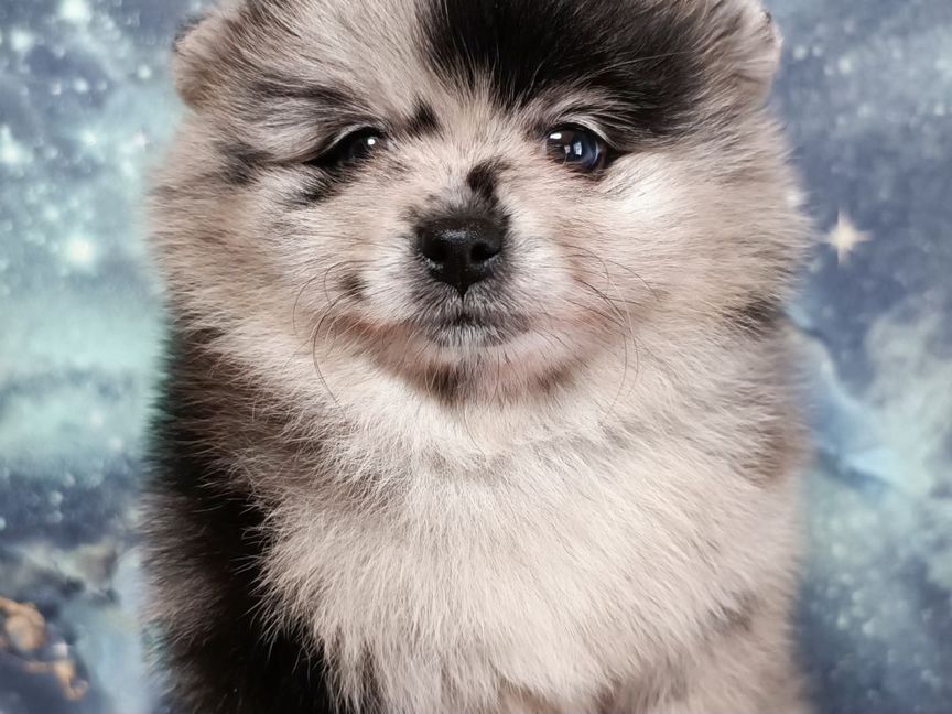 Мраморная девочка, красоточка