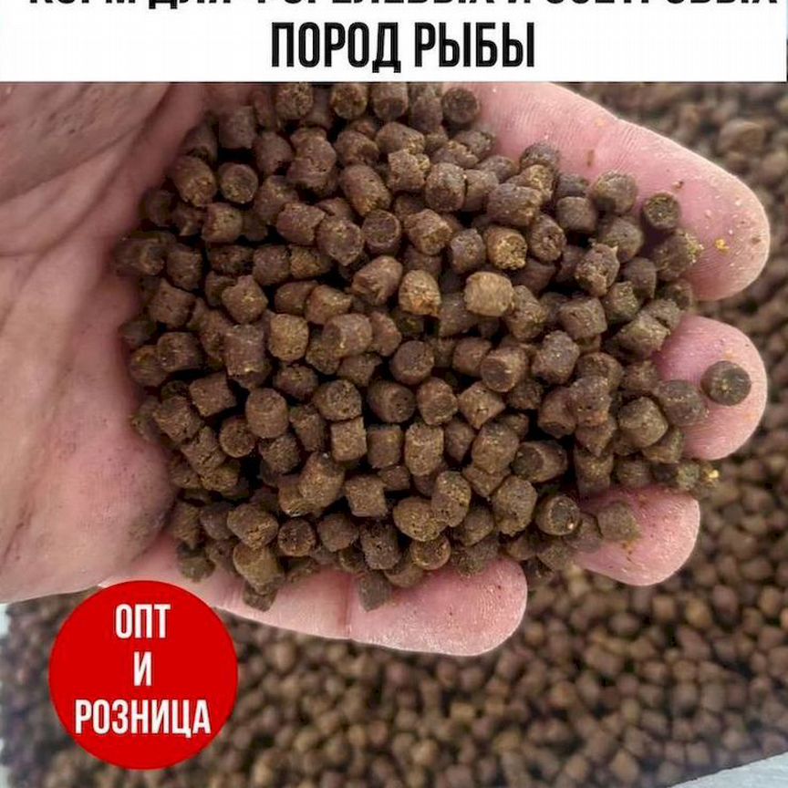 Корм для рыб форель осетр карп