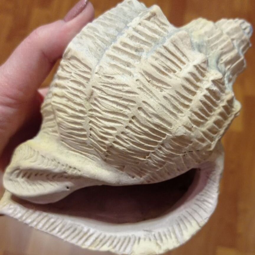 Декор для аквариума