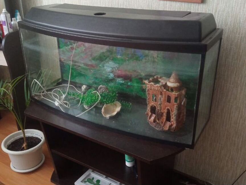 Продам аквариум с рыбками