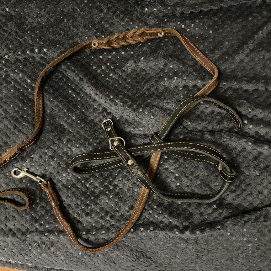 Шлейка с поводком