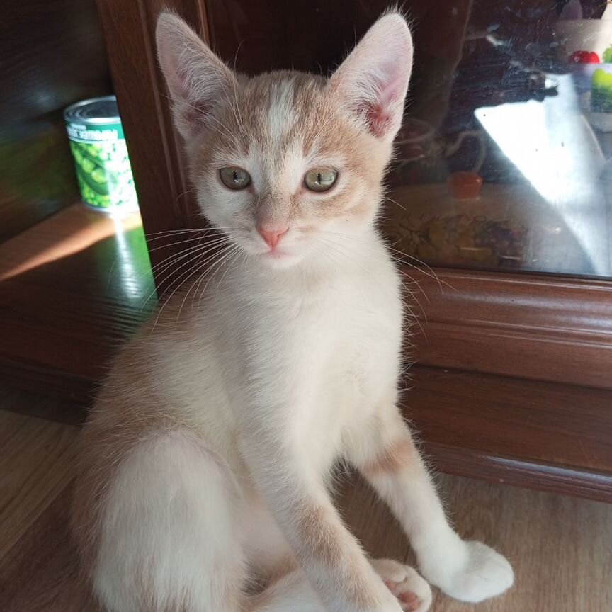 Мальчик ищет дом