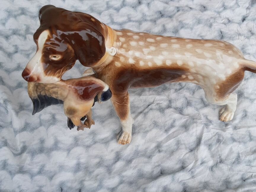 Собака на охоте