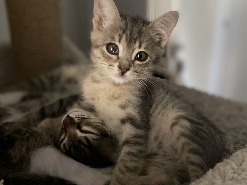 Мальчик- с пальчик)