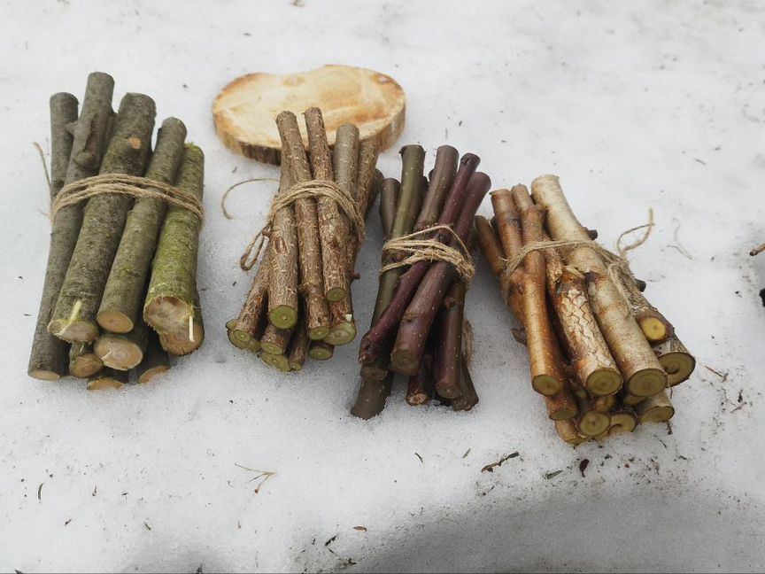 Ветки для грызунов. И попугаев