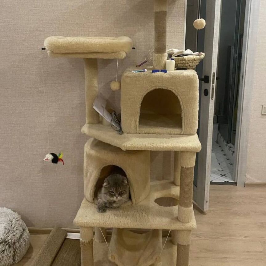 Дворец для кошки