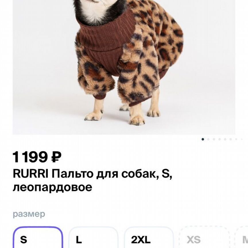 Одежда для собак мелких пород