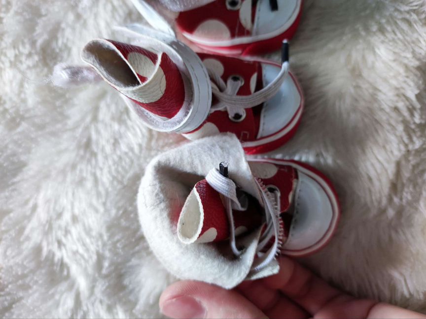 Обувь для собак,ошейники