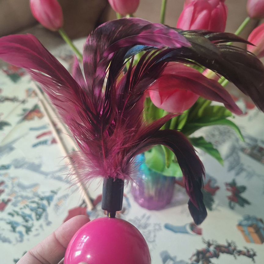 Аксессуары для животных