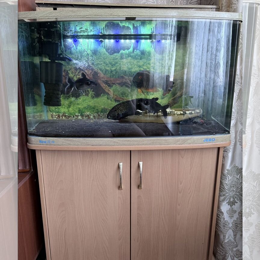 Аквариум 200 литров с тумбой и рыбками