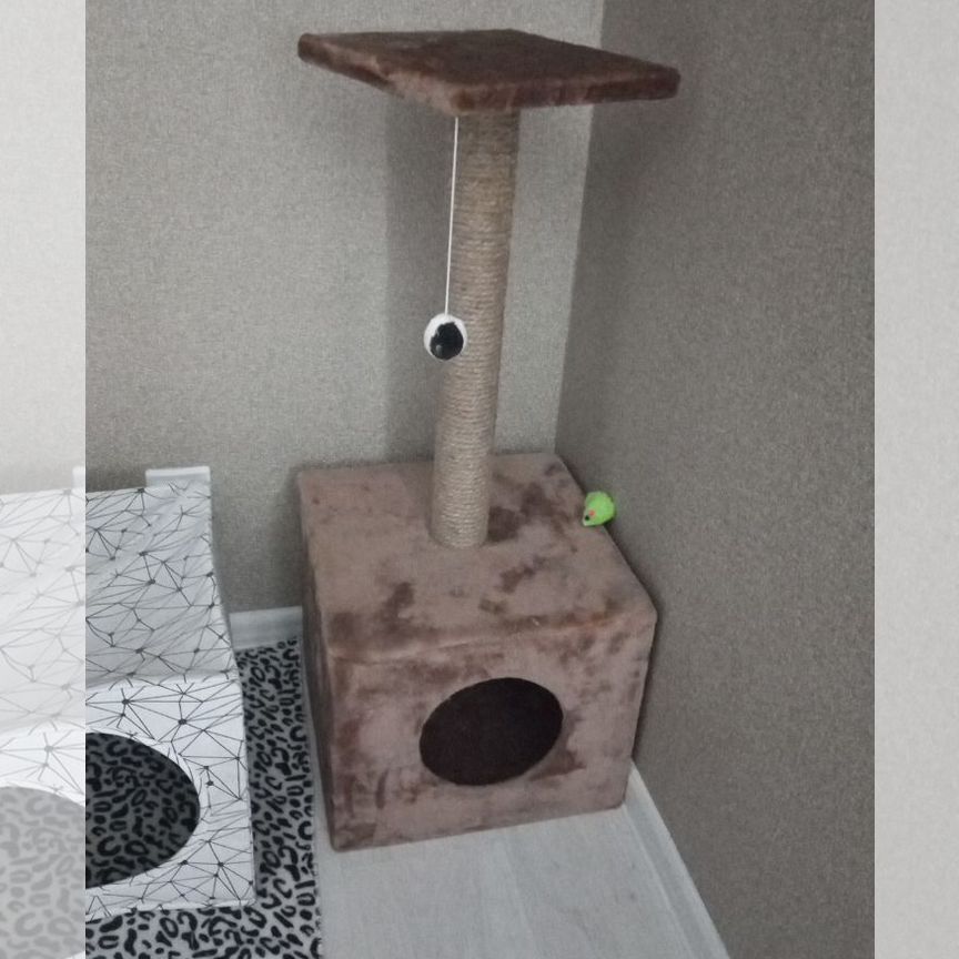 Кошкин домик