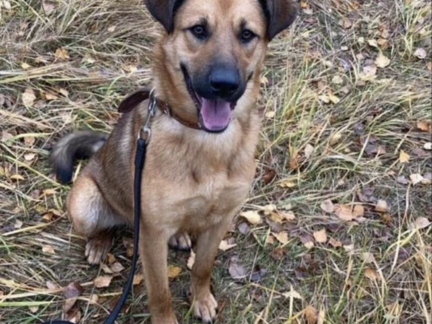 Харизматичный мальчик по имени Рон