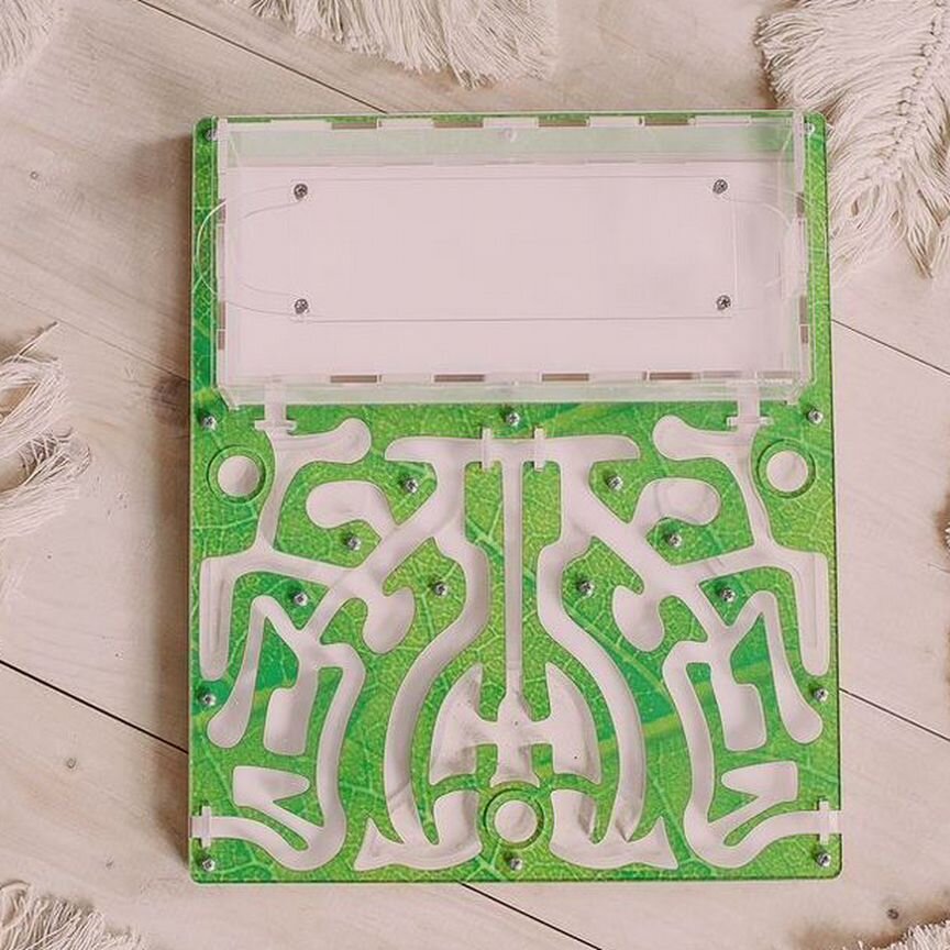 Формикарий/ Подарок для ребенка/ Муравьиная ферма