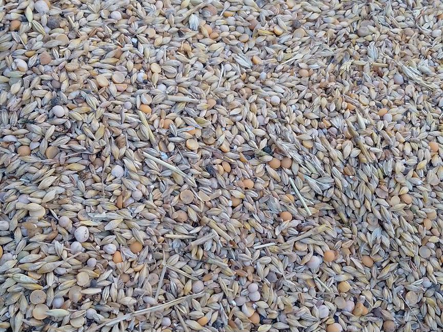 Зерносмесь