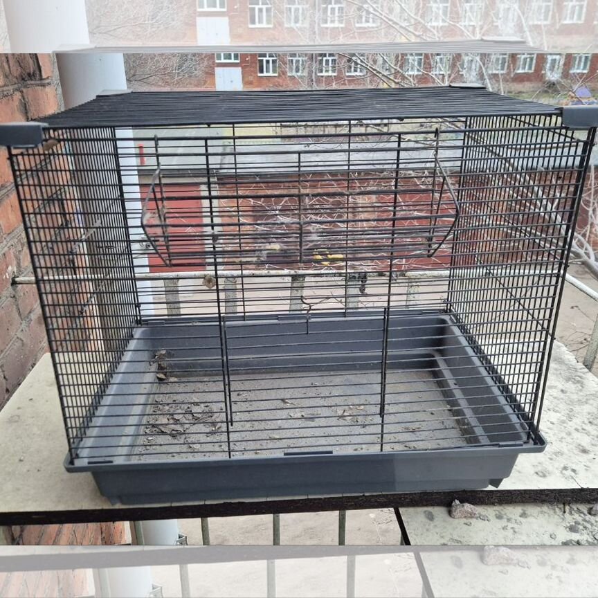 Клетка для животных бу