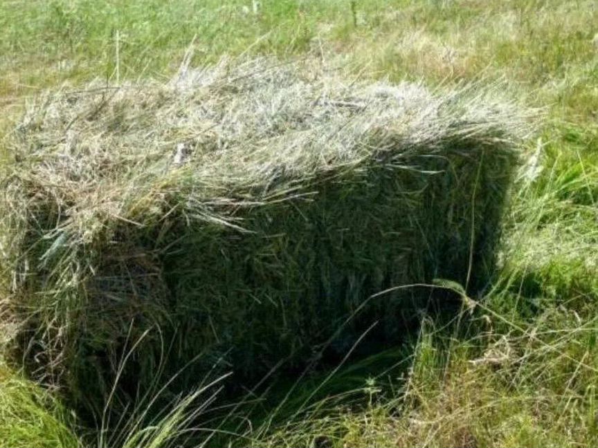 Сено в тюках косилось в сентябре, ячменная солома