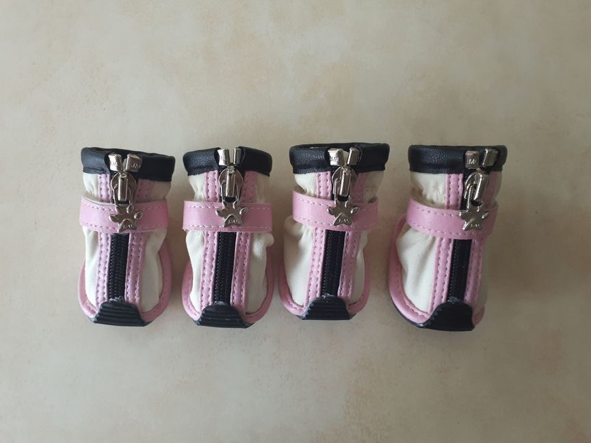 Ботинки для собак