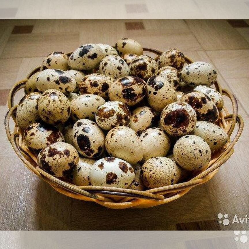 Яйца перепелиные домашние Куса