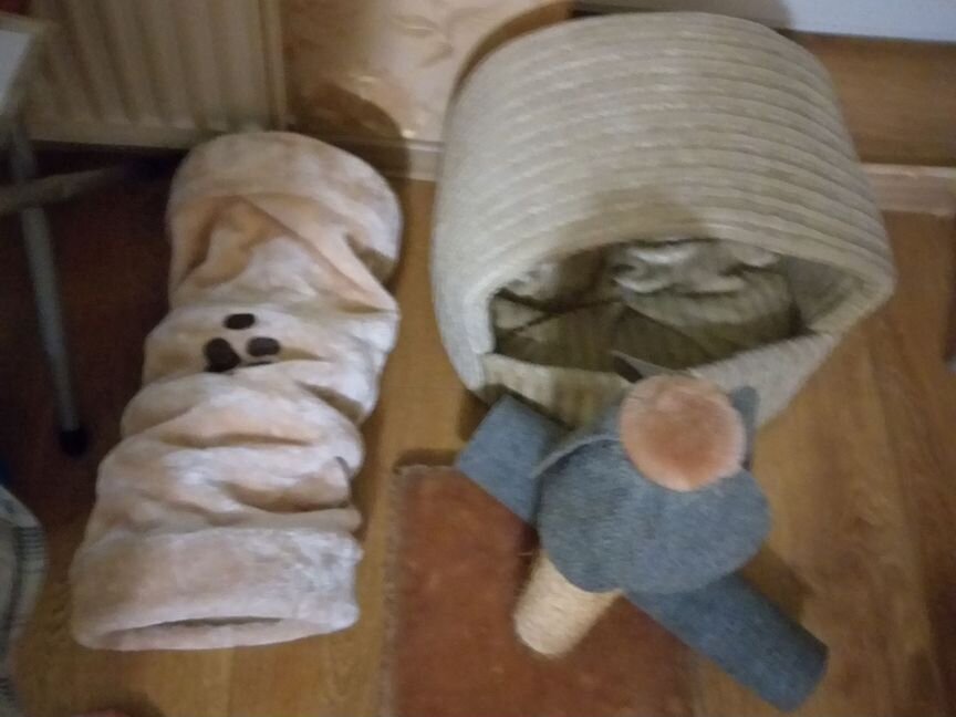 Домик для кошки, когтеточки, тунель для котят