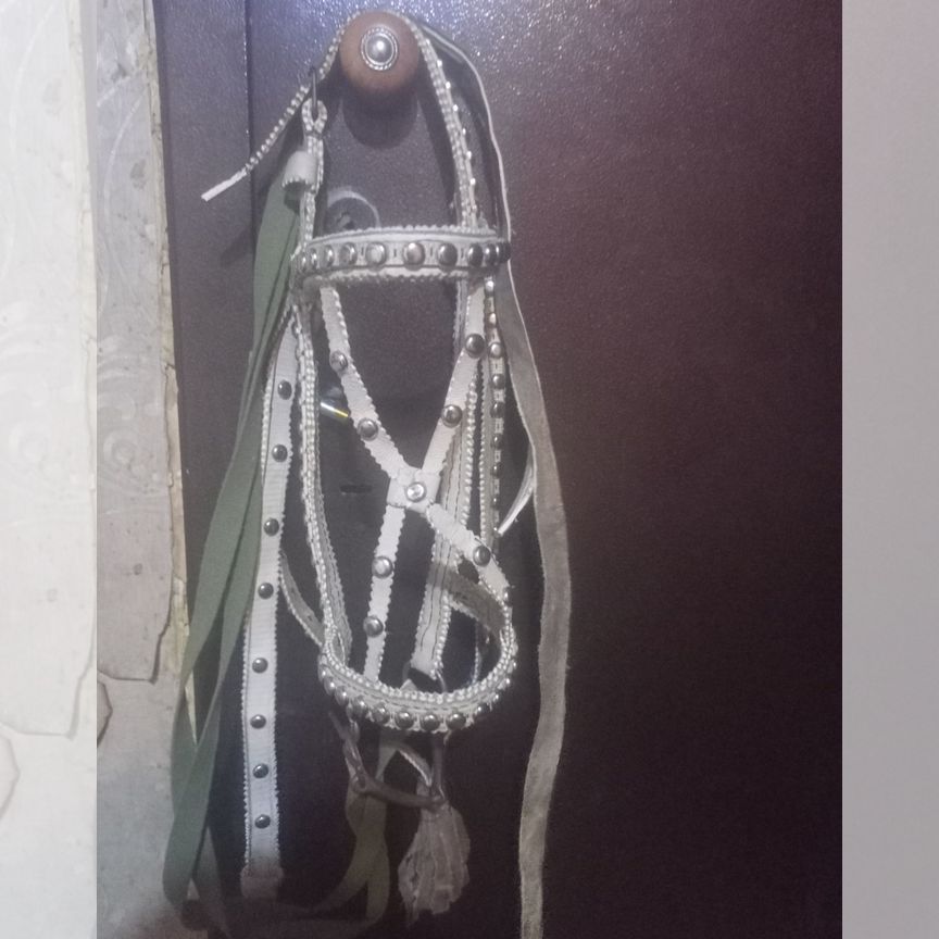 Узда для лошади