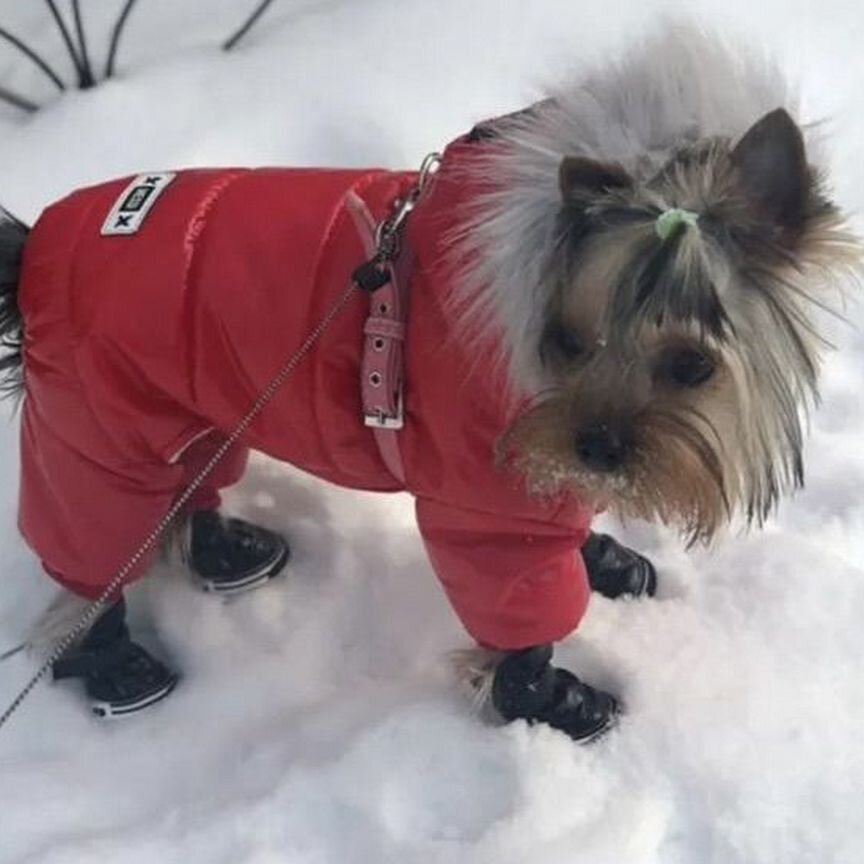 Пуховик для маленькой собаки(размер М)