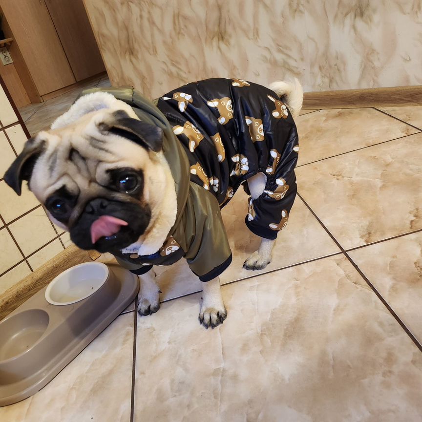 Мальчик приглашает на свидание девочку