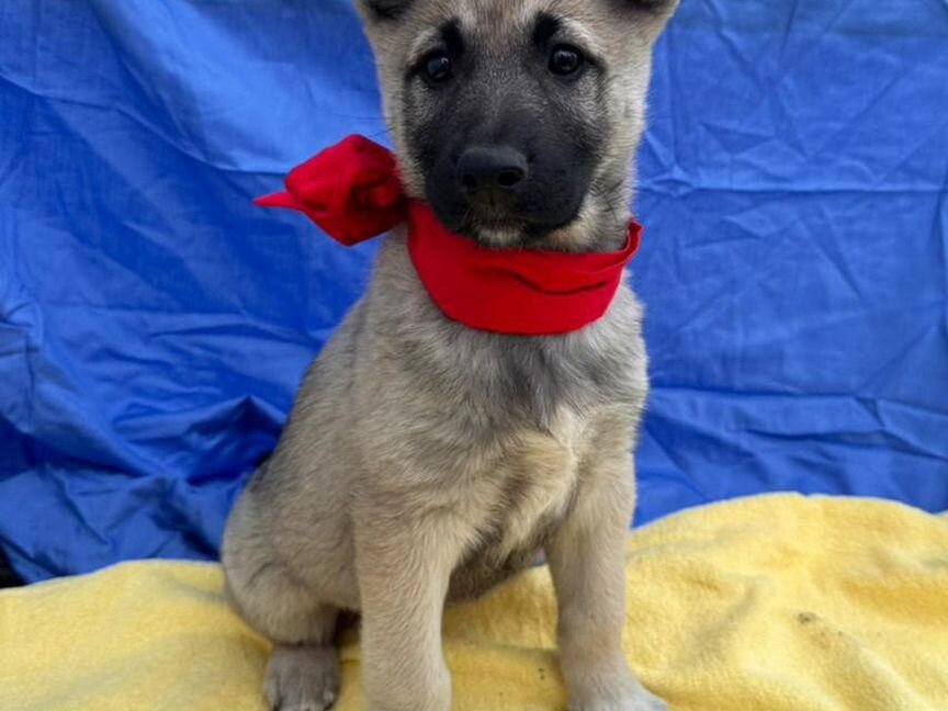 А ты со мной будешь