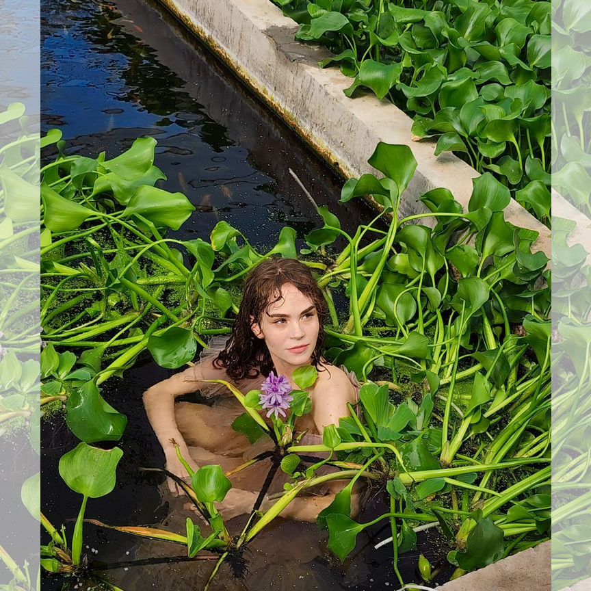 Гиацинт водный эйхорния