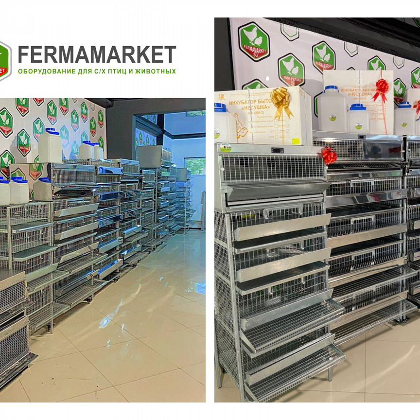 Клетки для перепелов Белогорск