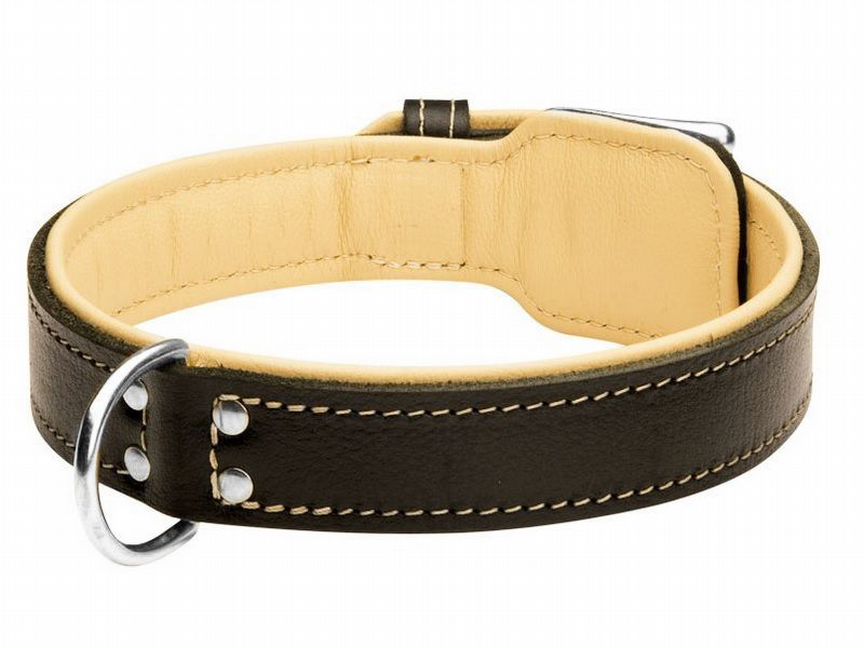 Умный ошейник для собак