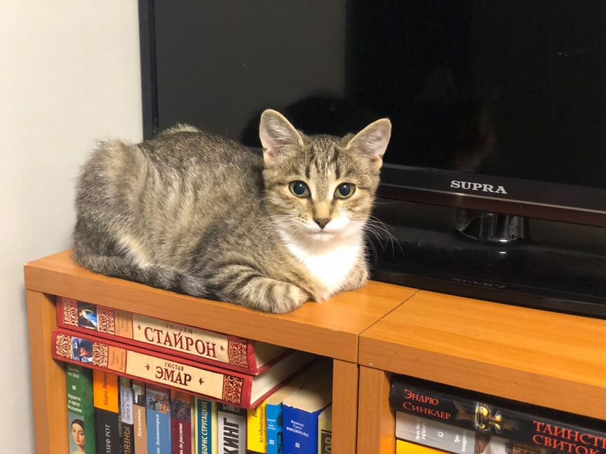 Вареньке нужен дом