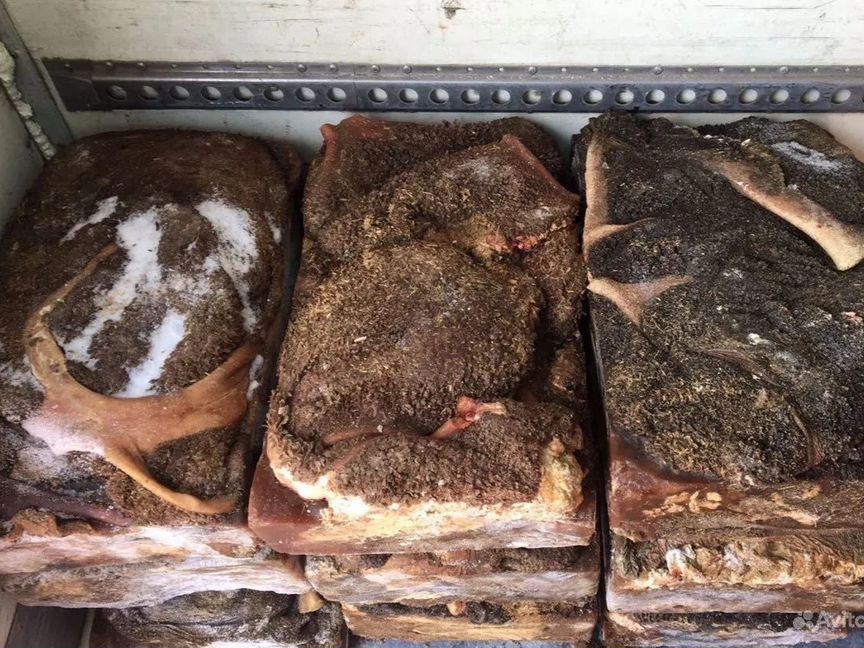 Рубец говяжий