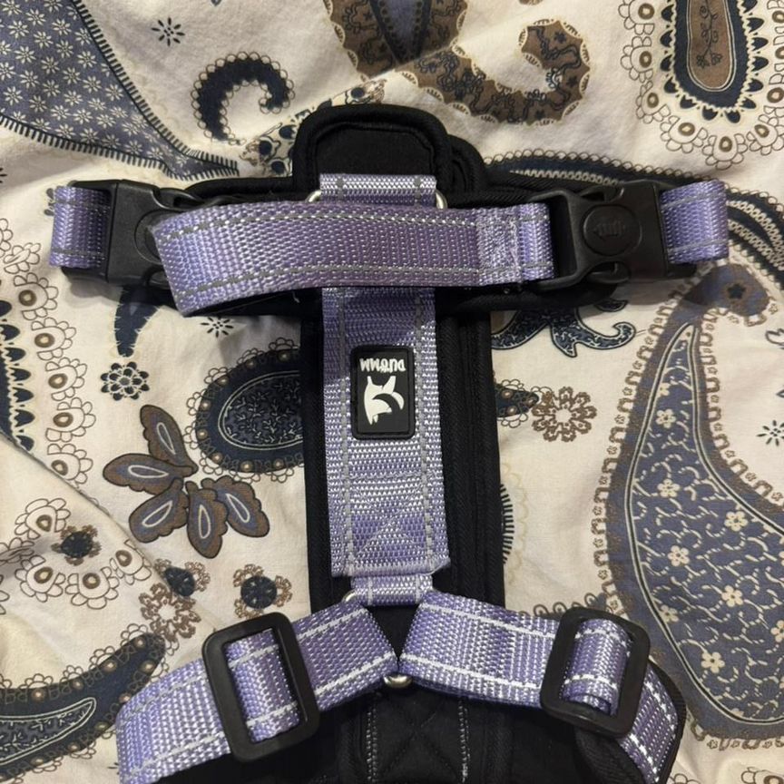 Шлейка для собаки